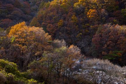 명승 지리산 한신계곡 일원 (智異山 韓信溪谷 一圓) | 국가문화유산포털 | 문화재 종목별 검색